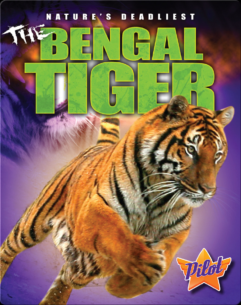 The Bengal Tiger Book by Colleen Sexton | Epic