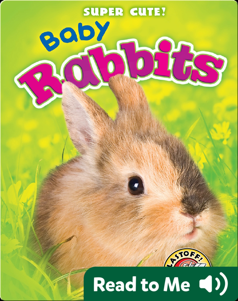 Super Cute! Baby Rabbits Book by Bethany Olson | Epic