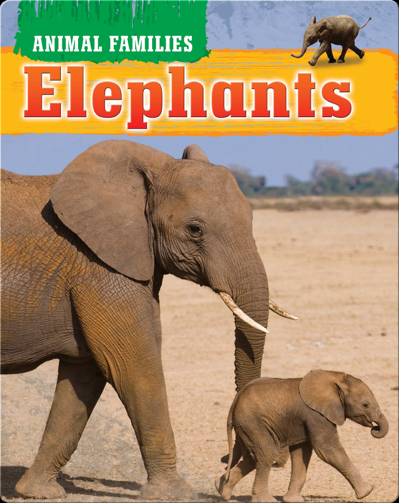 Elephants Book by Black Rabbit Books | Epic