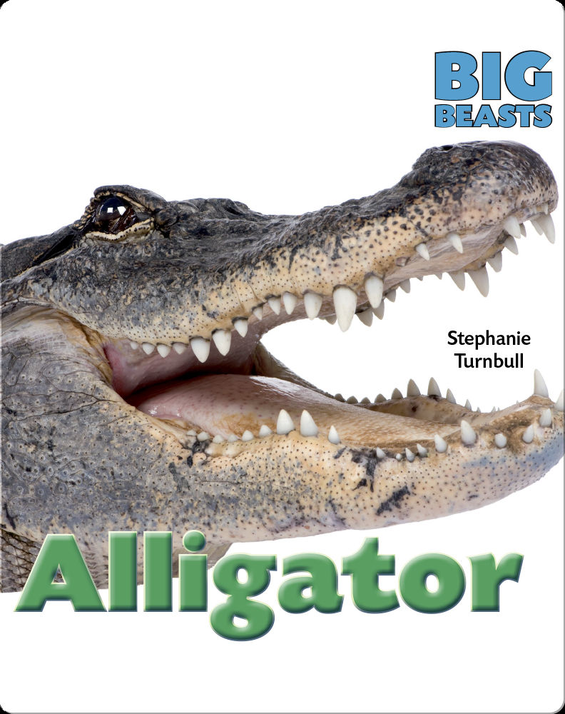 Alligator Book by Stephanie Turnbull | Epic