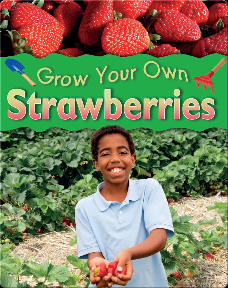 Strawberries Book by Helen Lanz | Epic