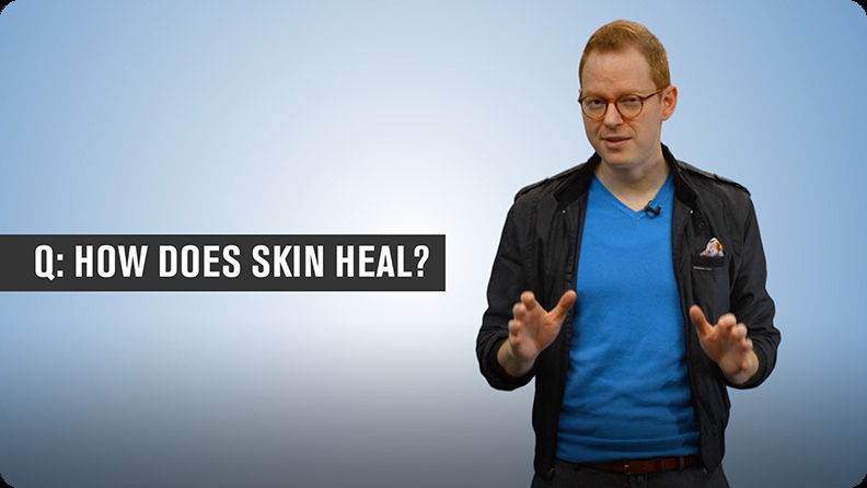How Does Skin Heal? Video | Discover Fun and Educational Videos That ...