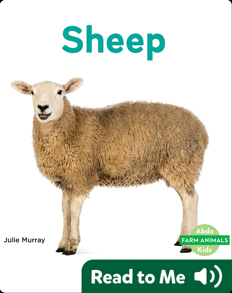 Sheep Book by Julie Murray | Epic