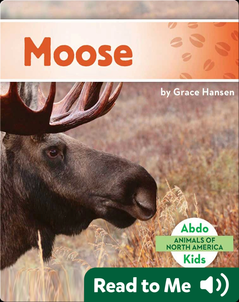 Moose Book by Grace Hansen | Epic