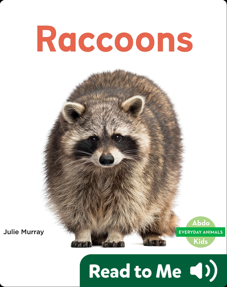 Raccoons Book by Julie Murray | Epic