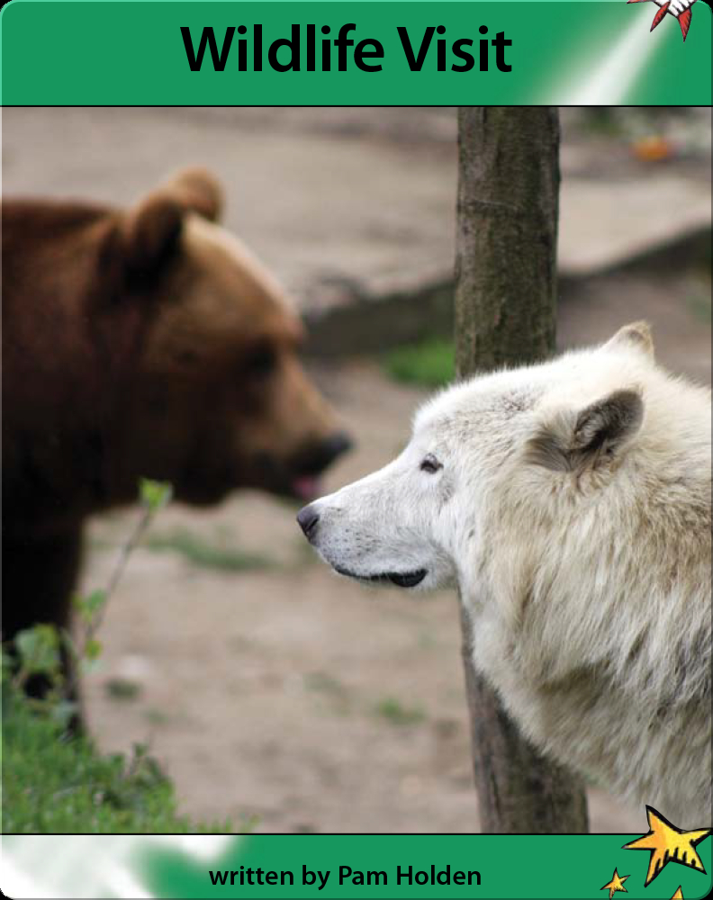 Wildlife Visit Book by Pam Holden | Epic