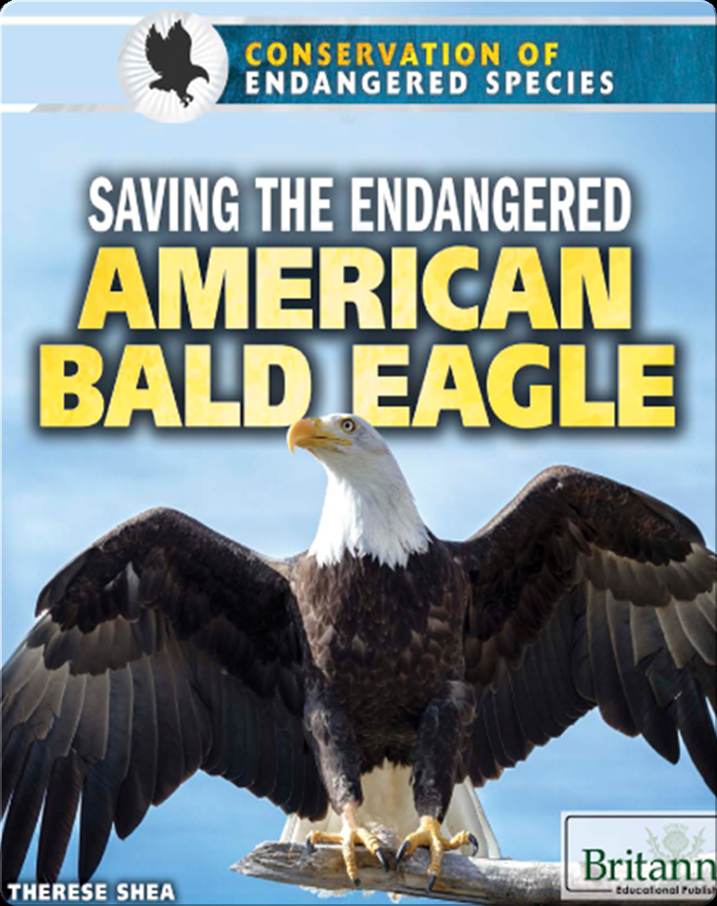 Saving the Endangered American Bald Eagle Book by Therese Shea | Epic