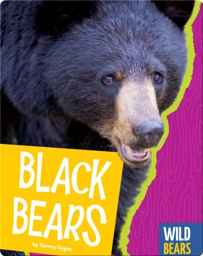 All Types of Bears Children's Book Collection | Discover Epic Children ...