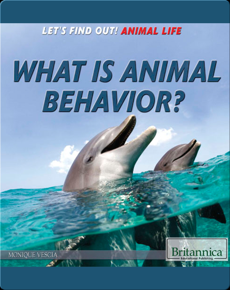 What Is Animal Behavior? Book by Monique Vescia | Epic