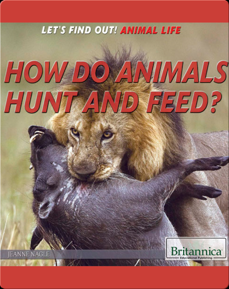 How Do Animals Hunt and Feed? Book by Jeanne Nagle | Epic