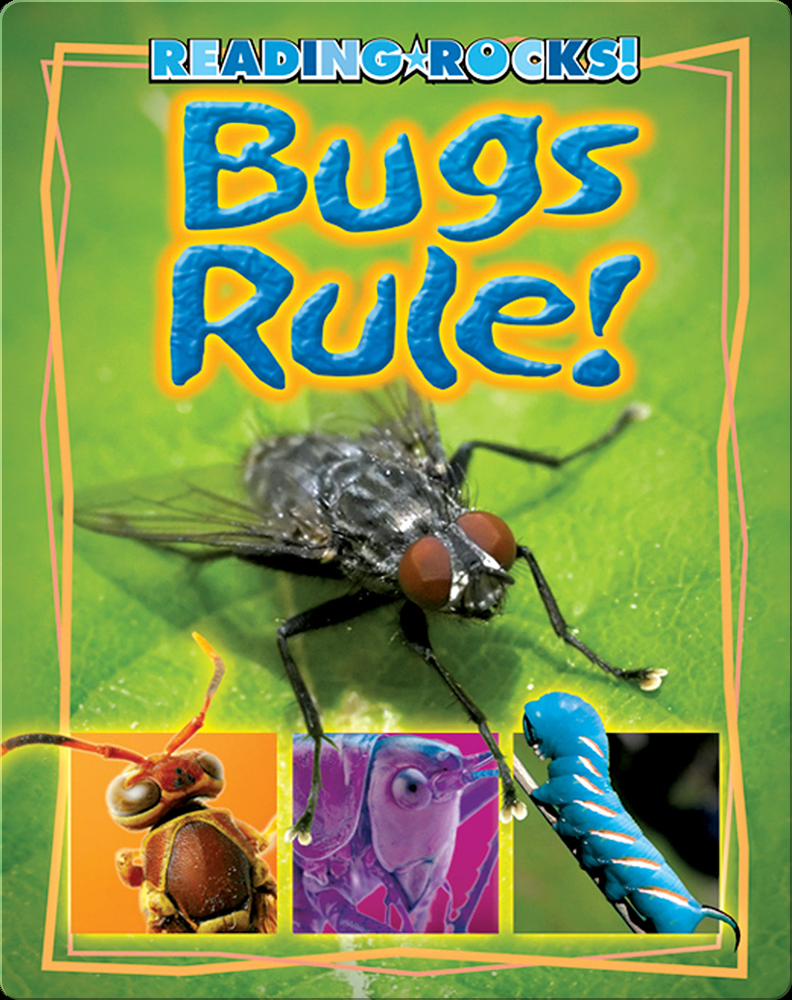 Bugs Rule! Book by Kathryn Stevens | Epic