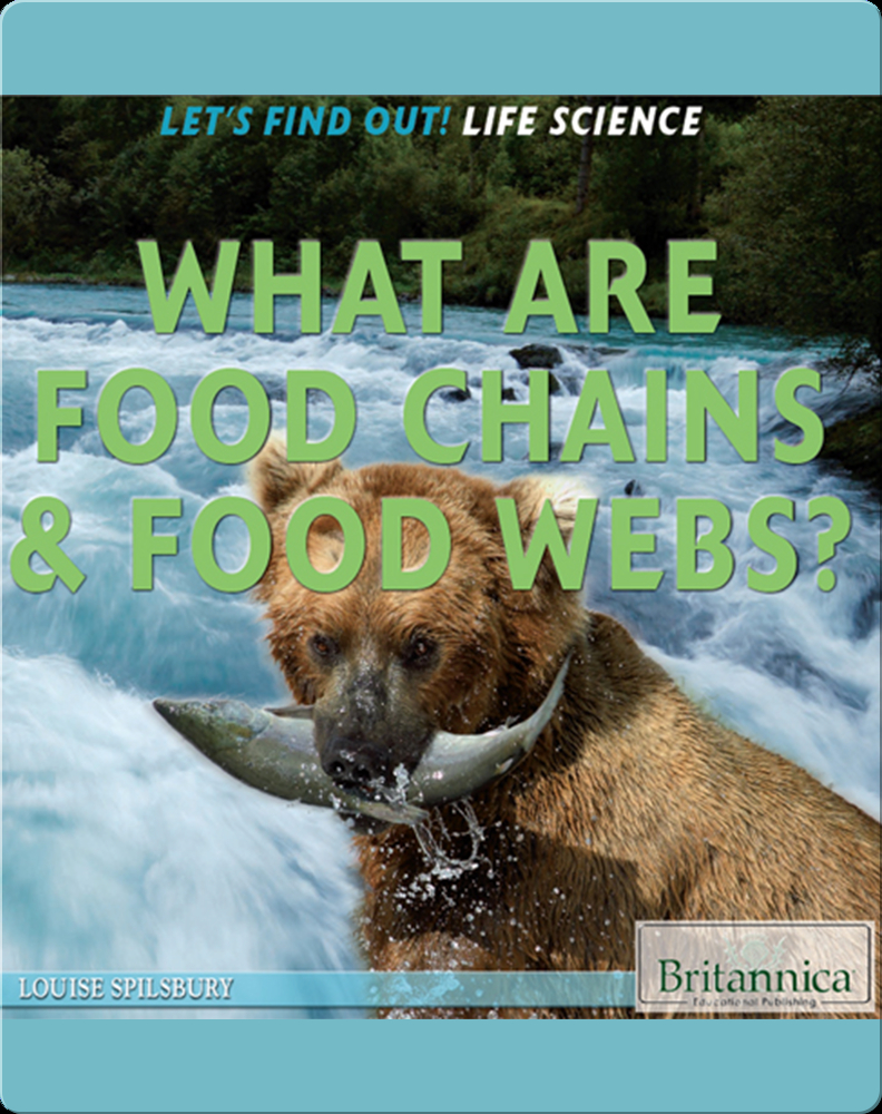 What Are Food Chains & Food Webs? Book by Louise Spilsbury | Epic