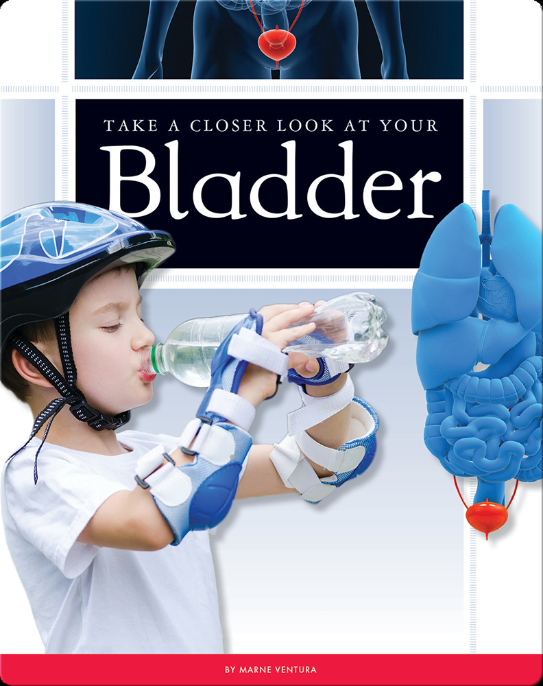 Take a Closer Look at Your Bladder Book by Marne Ventura | Epic