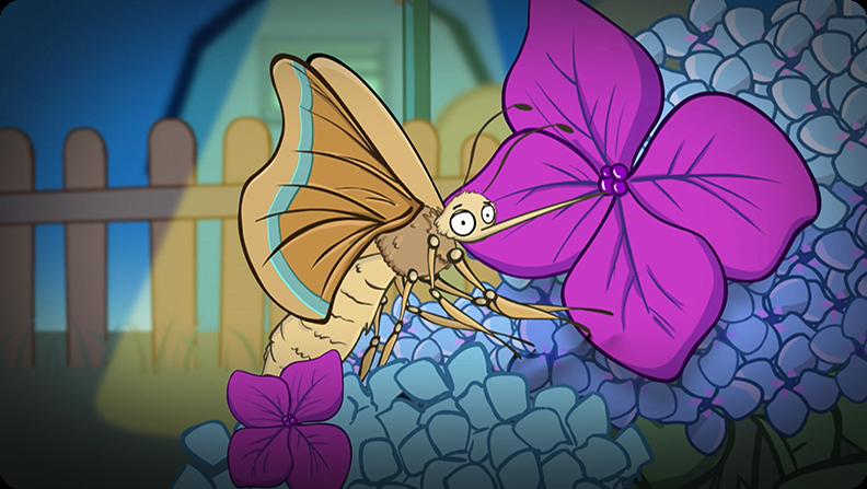 I'm a Moth Video | Discover Fun and Educational Videos That Kids Love ...