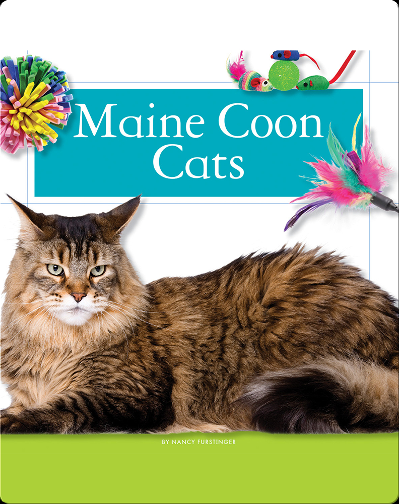 Maine Coon Cats Book by Nancy Furstinger | Epic