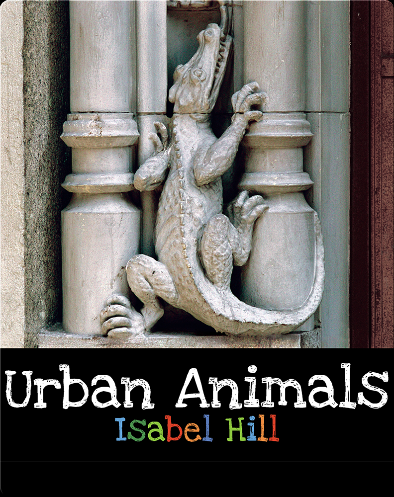 Urban Animals Book by Isabel Hill | Epic