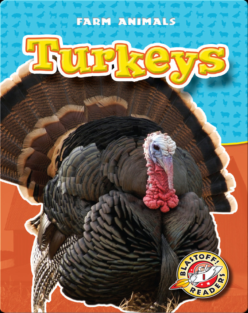 Turkeys Book by Hollie Endres | Epic