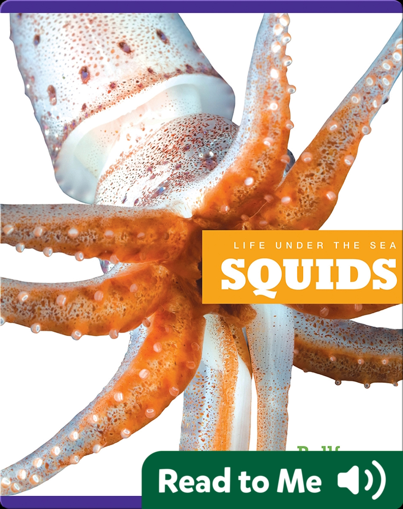 Life Under The Sea: Squids Book by Mari Schuh | Epic