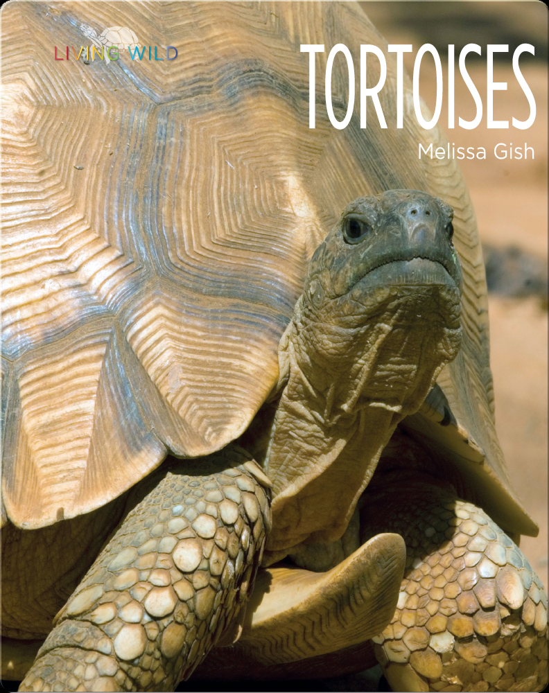 Tortoises Book by Melissa Gish | Epic
