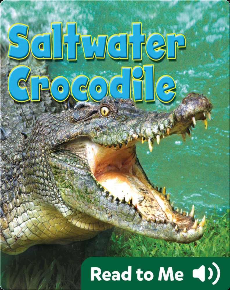 Saltwater Crocodile Book by Tom Jackson | Epic