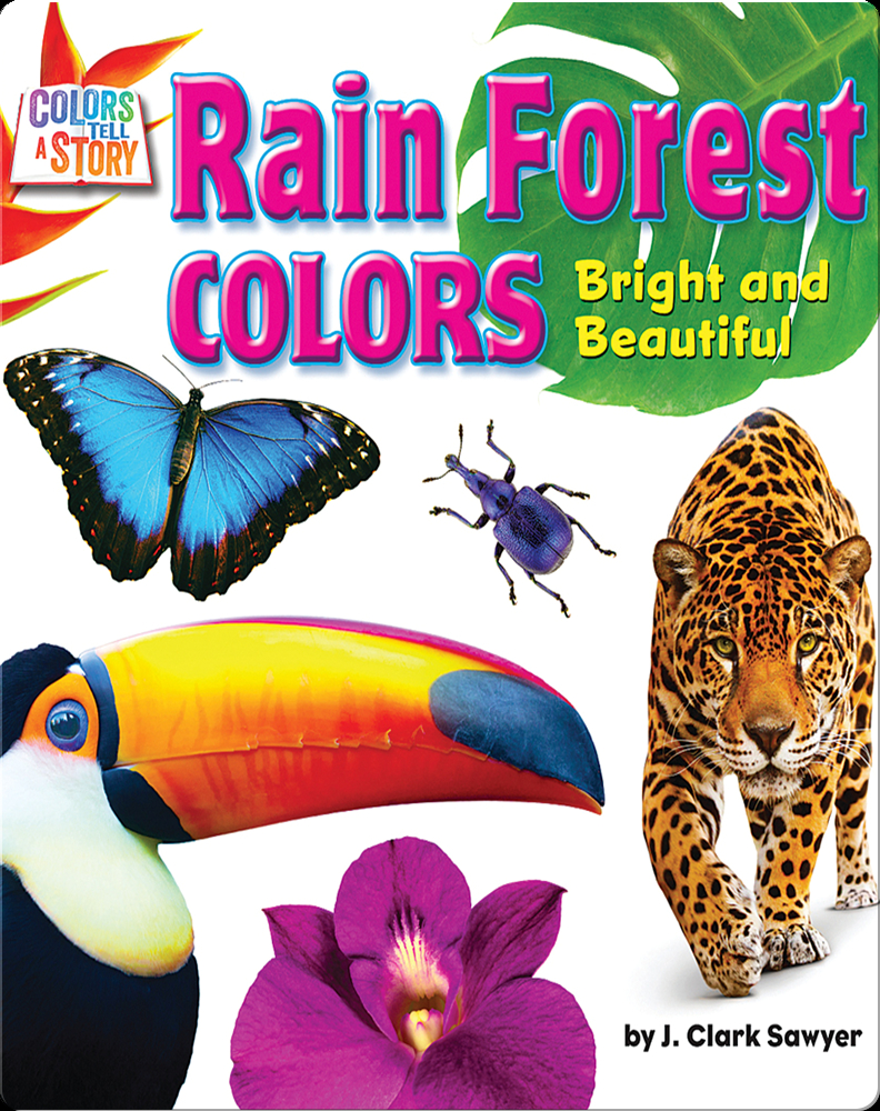Rain Forest Colors Book by J. Clark Sawyer | Epic