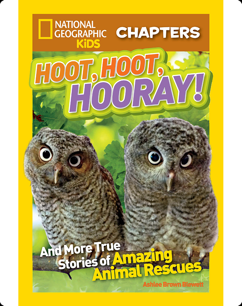 National Geographic Kids Chapters: Hoot, Hoot, Hooray! Book by Ashlee ...