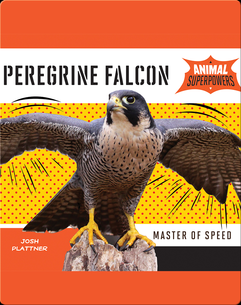 Peregrine Falcon: Master of Speed Book by Josh Plattner | Epic