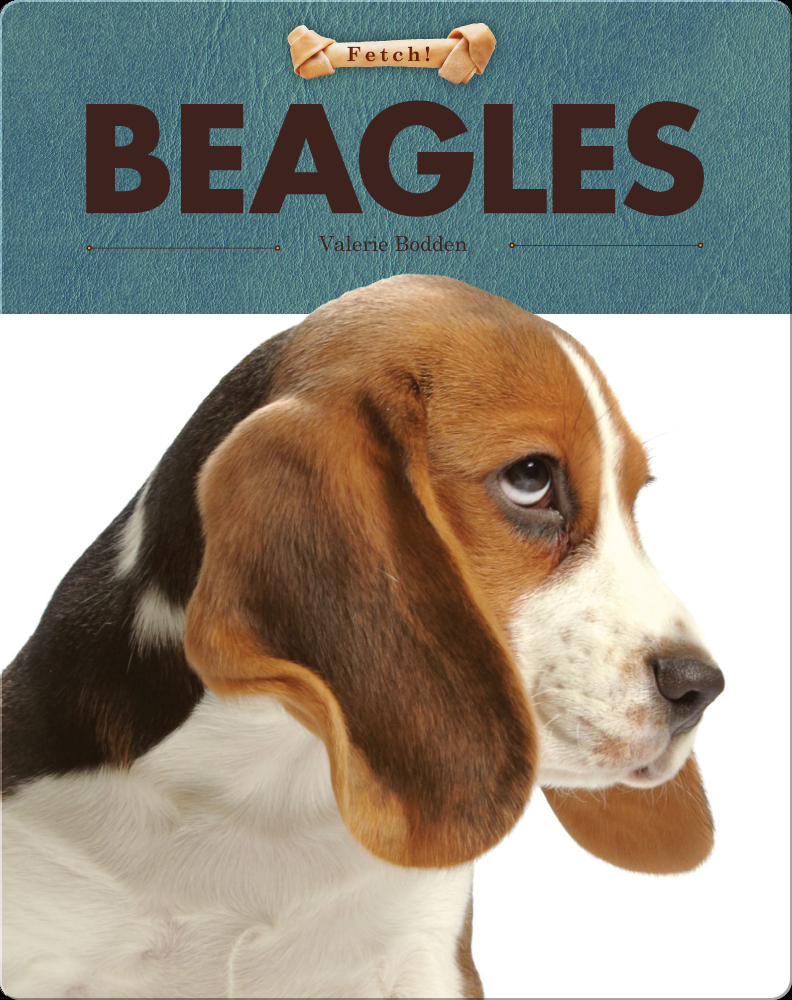 Beagles Book by Valerie Bodden | Epic