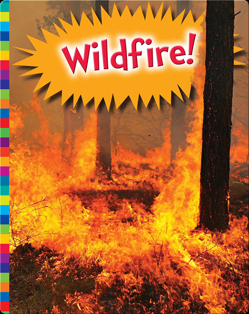 Wildfire! Book by Elizabeth Raum | Epic