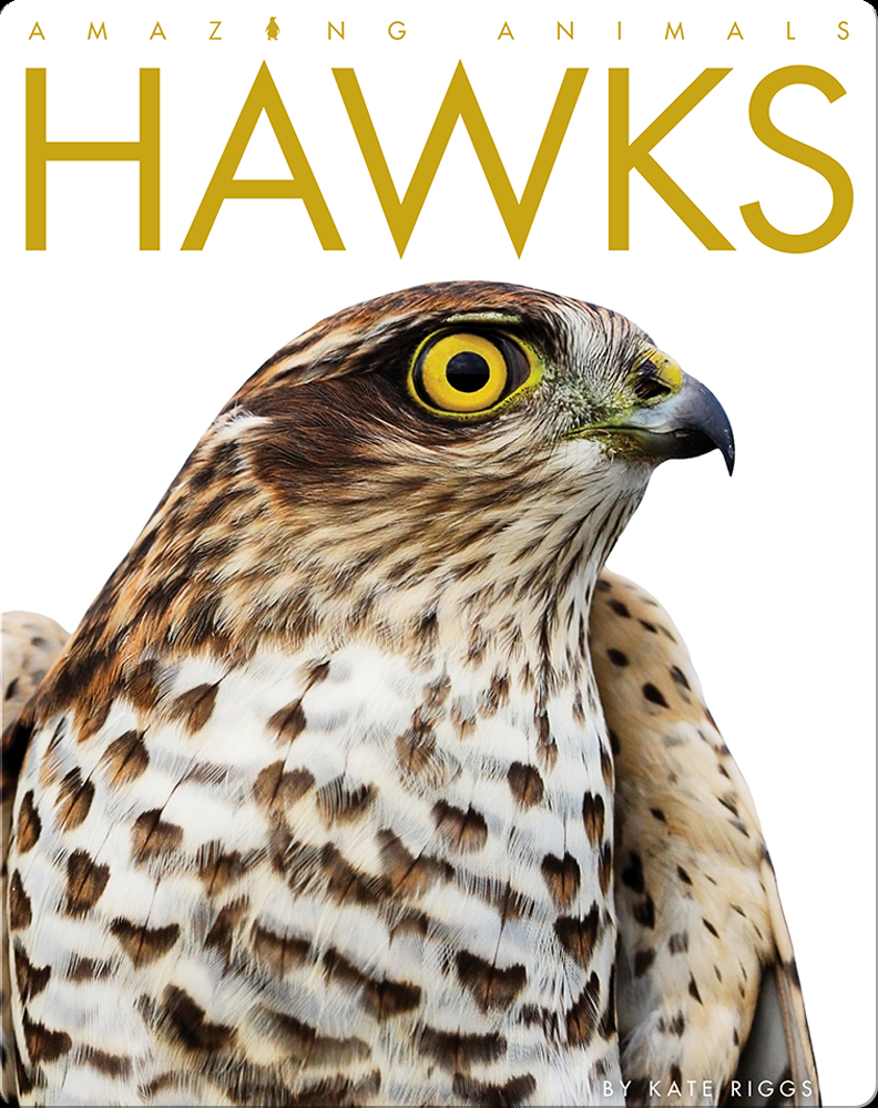 Hawks Book by Kate Riggs | Epic