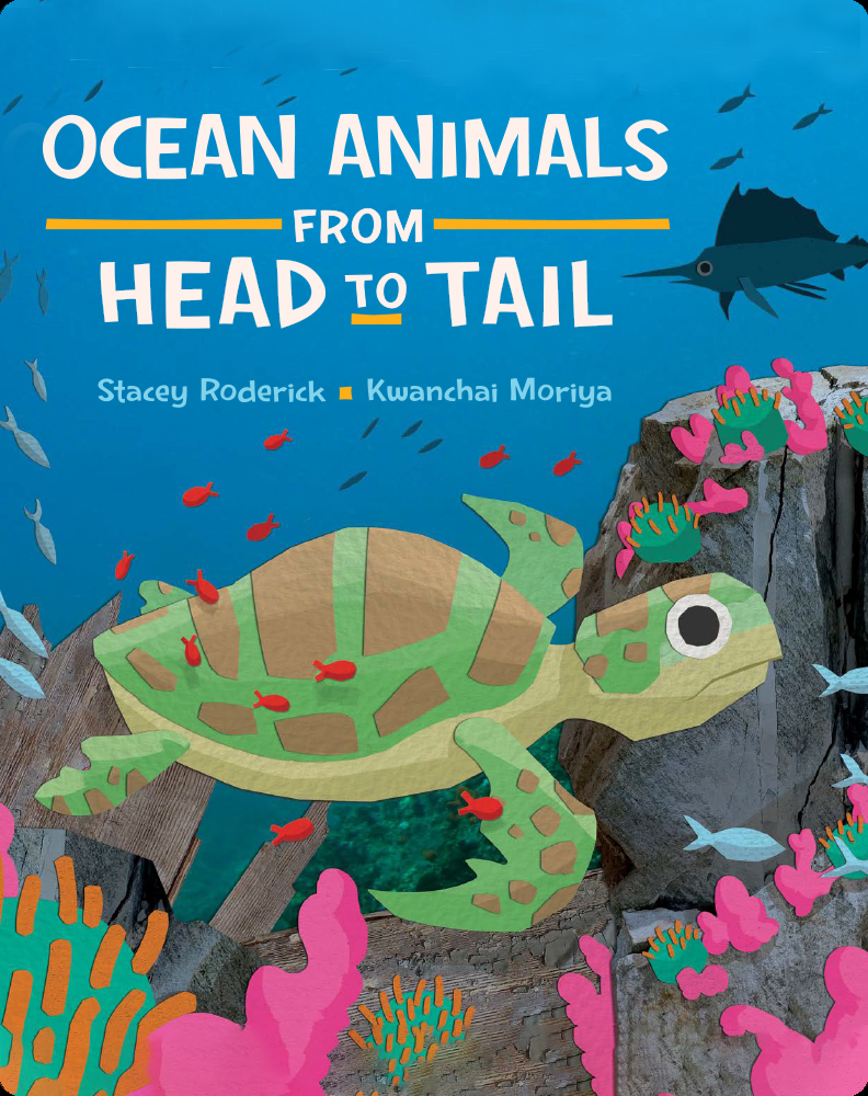 Ocean Animals from Head to Tail Book by Stacey Roderick | Epic