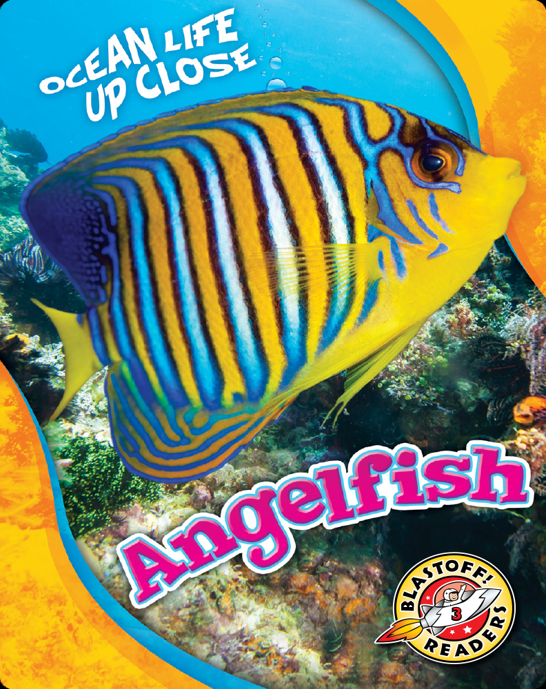 Ocean Life Up Close: Angelfish Book by Nathan Sommer | Epic