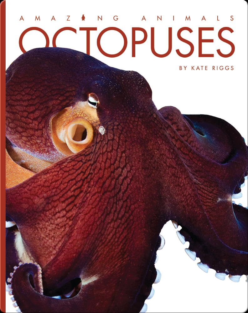 Octopuses Book by Kate Riggs | Epic