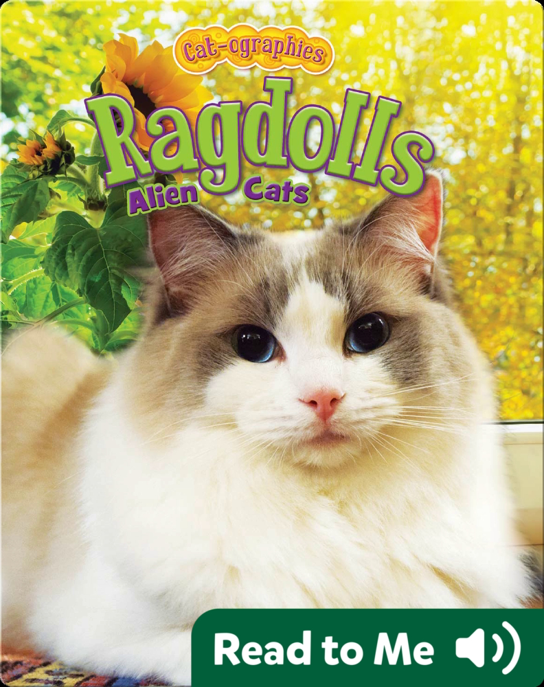 Ragdolls: Alien Cats Book by Judith Bauer Stamper | Epic