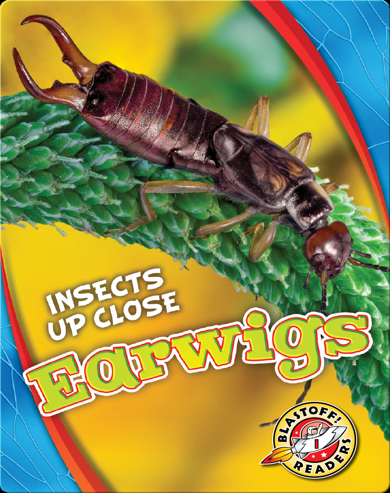 Earwigs Book by Patrick Perish | Epic