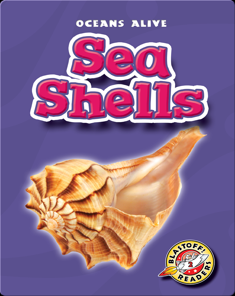 Sea Shells Book by Shari Skeie | Epic