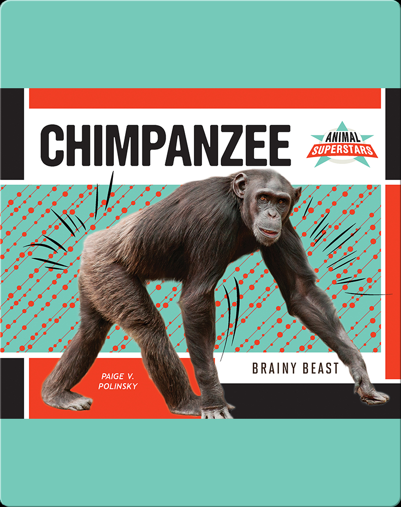 Chimpanzee: Brainy Beast Book by Paige V. Polinsky | Epic