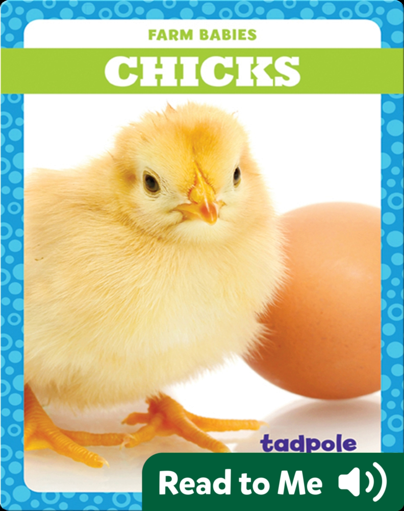 Chicks Book by Tim Mayerling | Epic