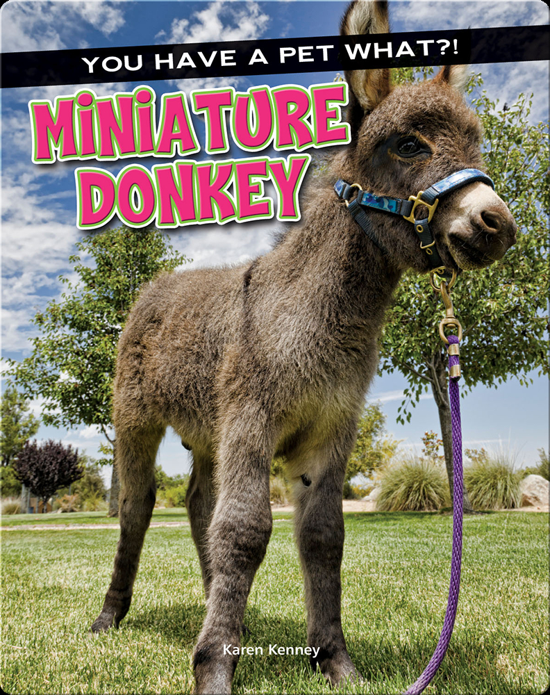 Miniature Donkey Book by Karen Kenney | Epic