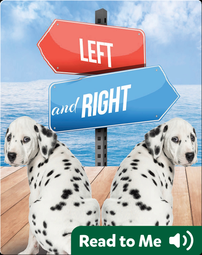 Left and Right Book by Taylor Farley | Epic