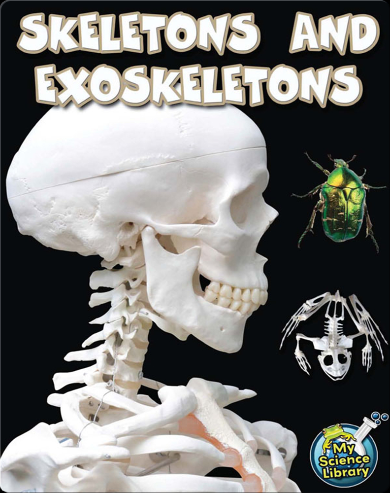 Skeletons and Exoskeletons Book by Julie Lundgren | Epic