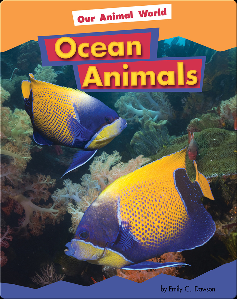 Ocean Animals Book by Emily C. Dawson | Epic