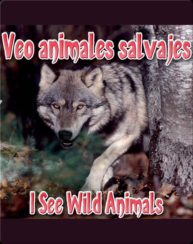 Veo Animales Salvajes (I See Wild Animals) Book by Rourke Educational ...