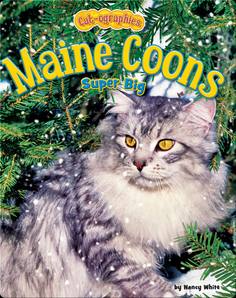 Maine Coons: Super Big Book by Nancy White | Epic