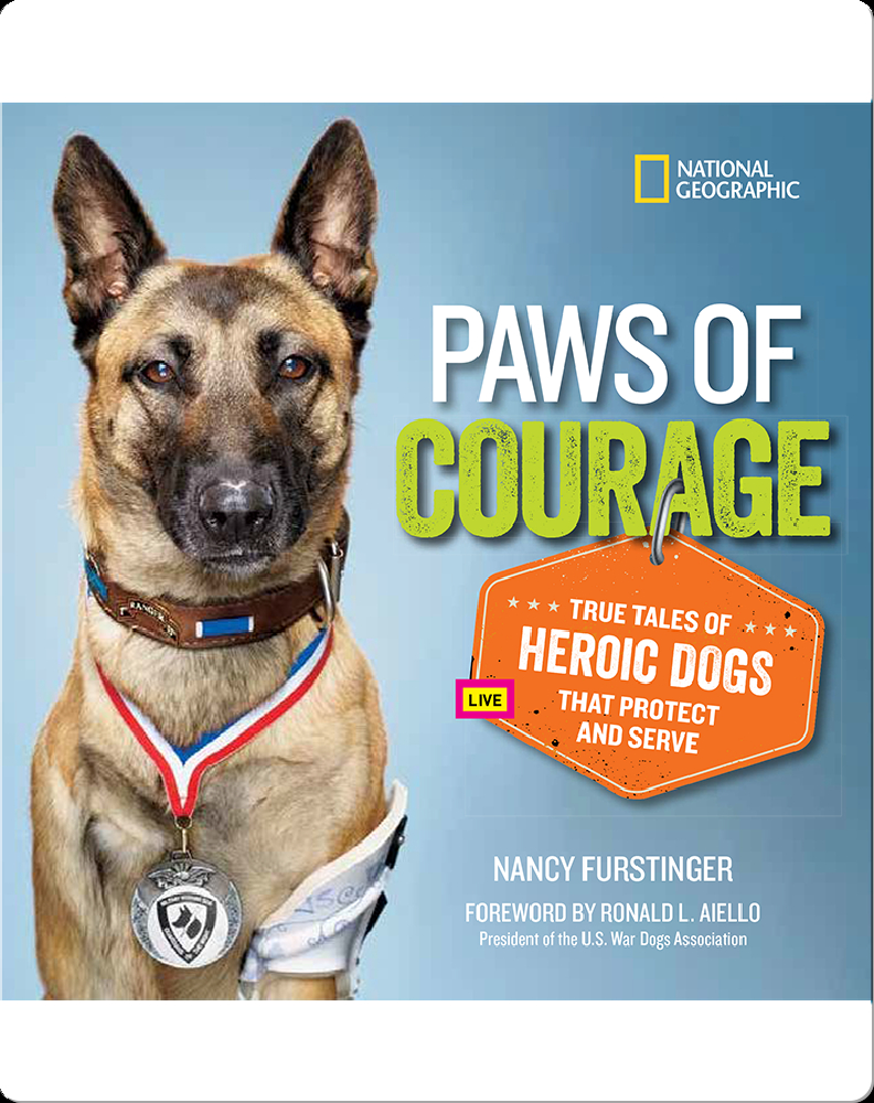 Paws of Courage Book by Nancy Furstinger | Epic