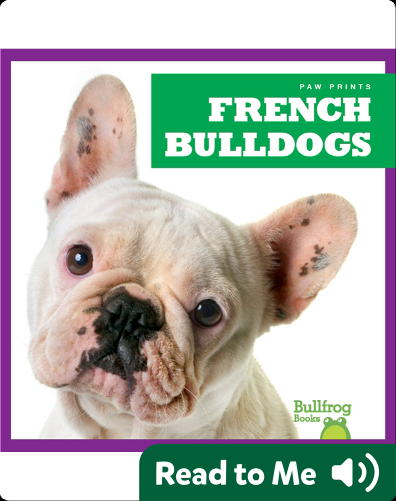 French Bulldogs Book by Kristine Spanier | Epic