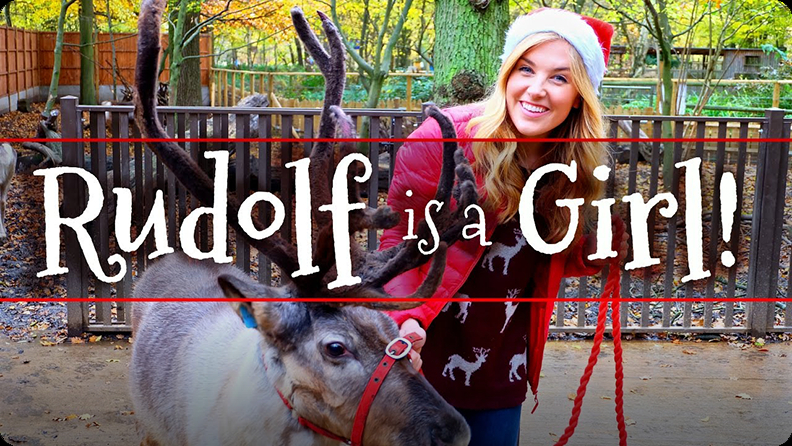 Rudolf is a Girl?! and other Reindeer Facts! Video | Discover Fun and ...