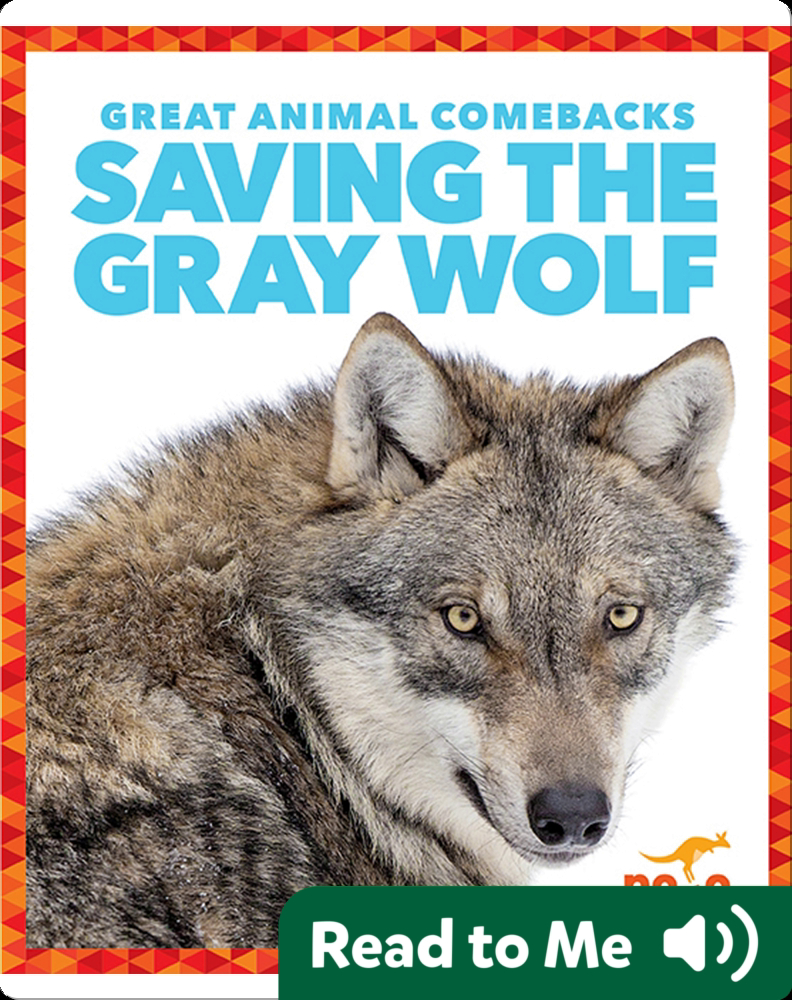 Saving the Gray Wolf Book by Karen Latchana Kenney | Epic