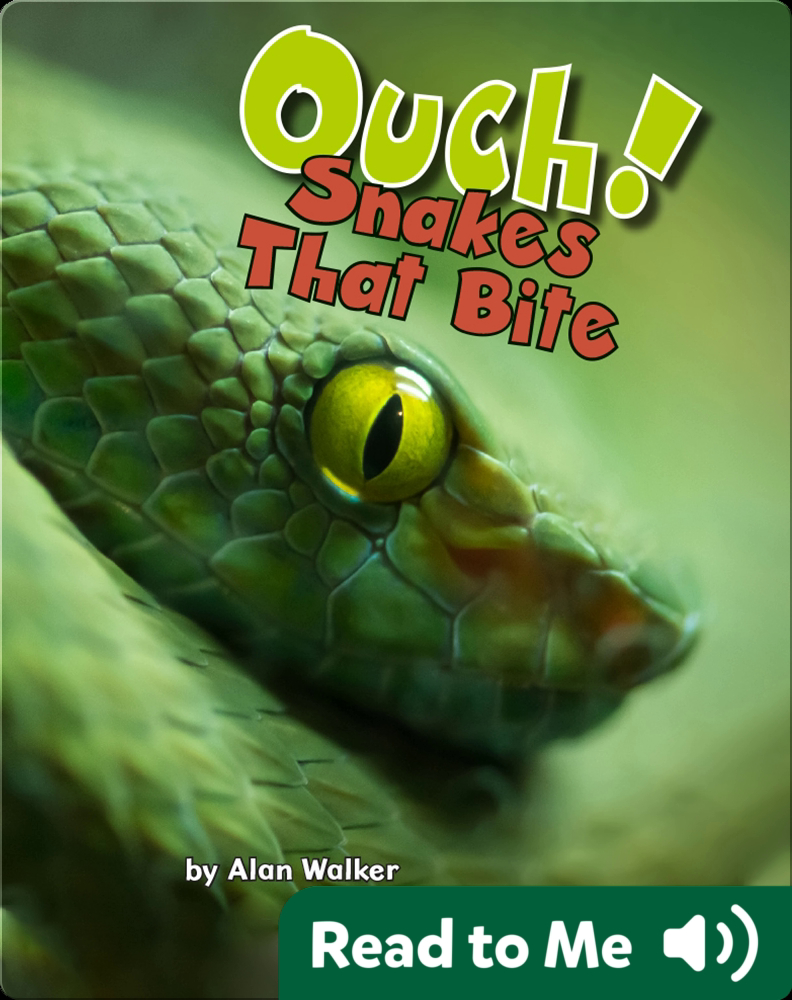 Ouch! Snakes That Bite Book by Alan Walker | Epic