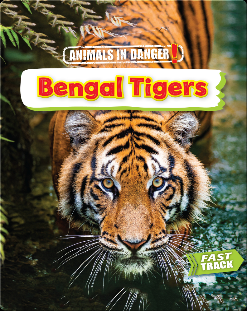 Animals in Danger: Bengal Tigers Book by Nancy Dickmann | Epic